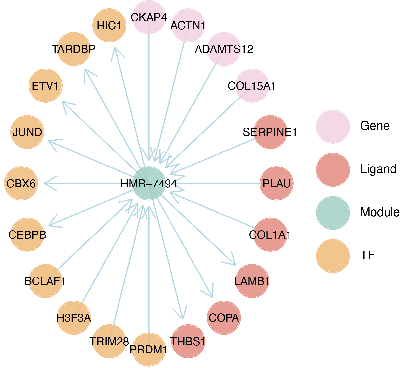 MetroSCREEN(scRNA-seq)